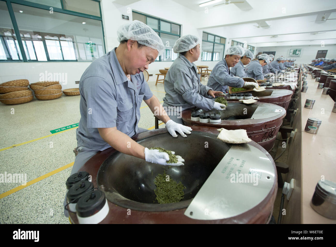 Chinese workers roast Mingqian Longjing Tea by their hands with ...