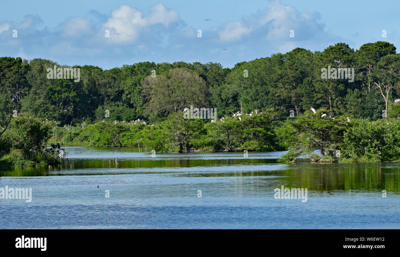 Georgia pond hi-res stock photography and images - Alamy