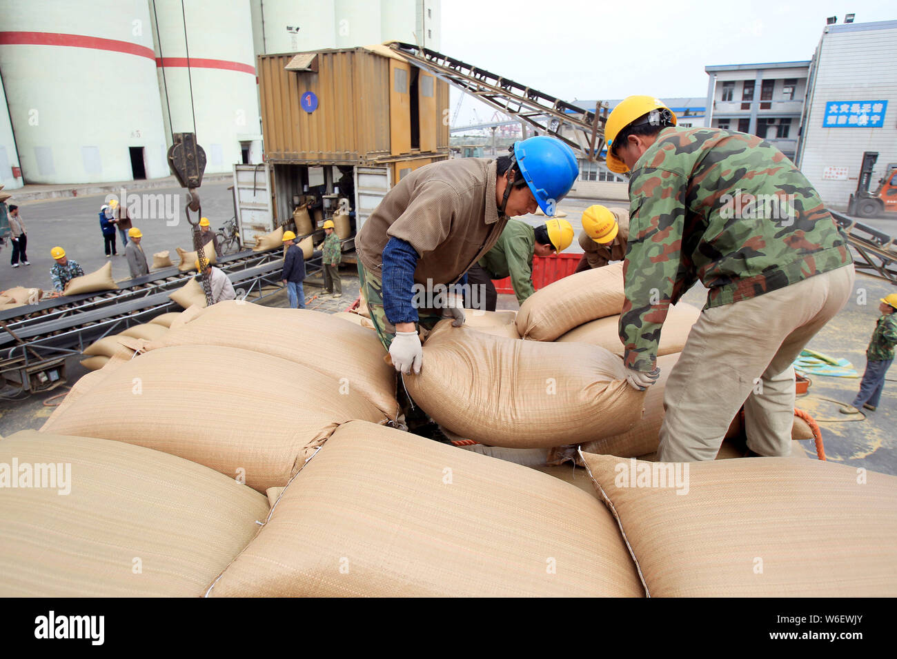 Soybean file hi-res stock photography and images - Alamy