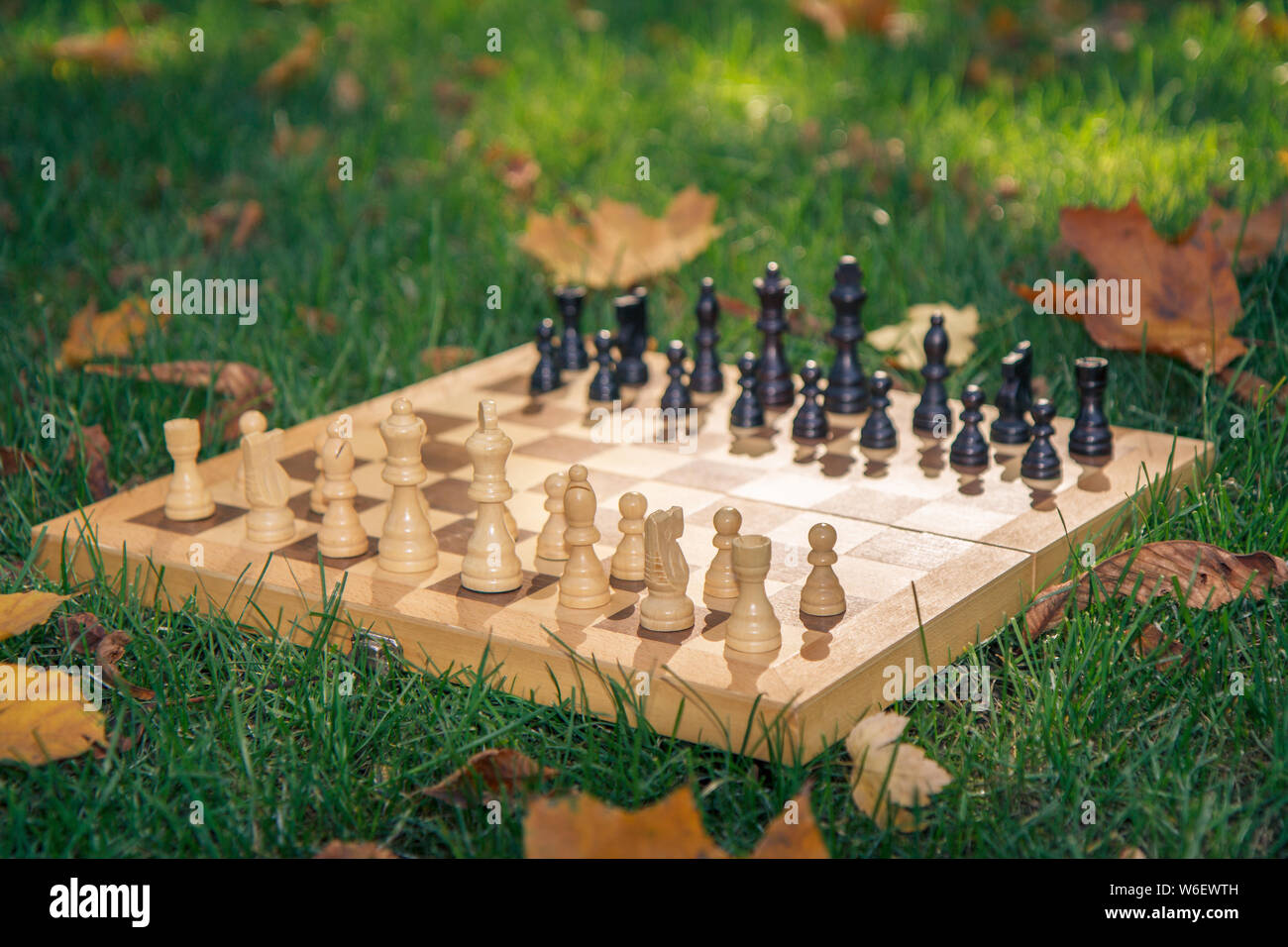 Wooden chessboard and chess pieces on green grass covered with dry ...