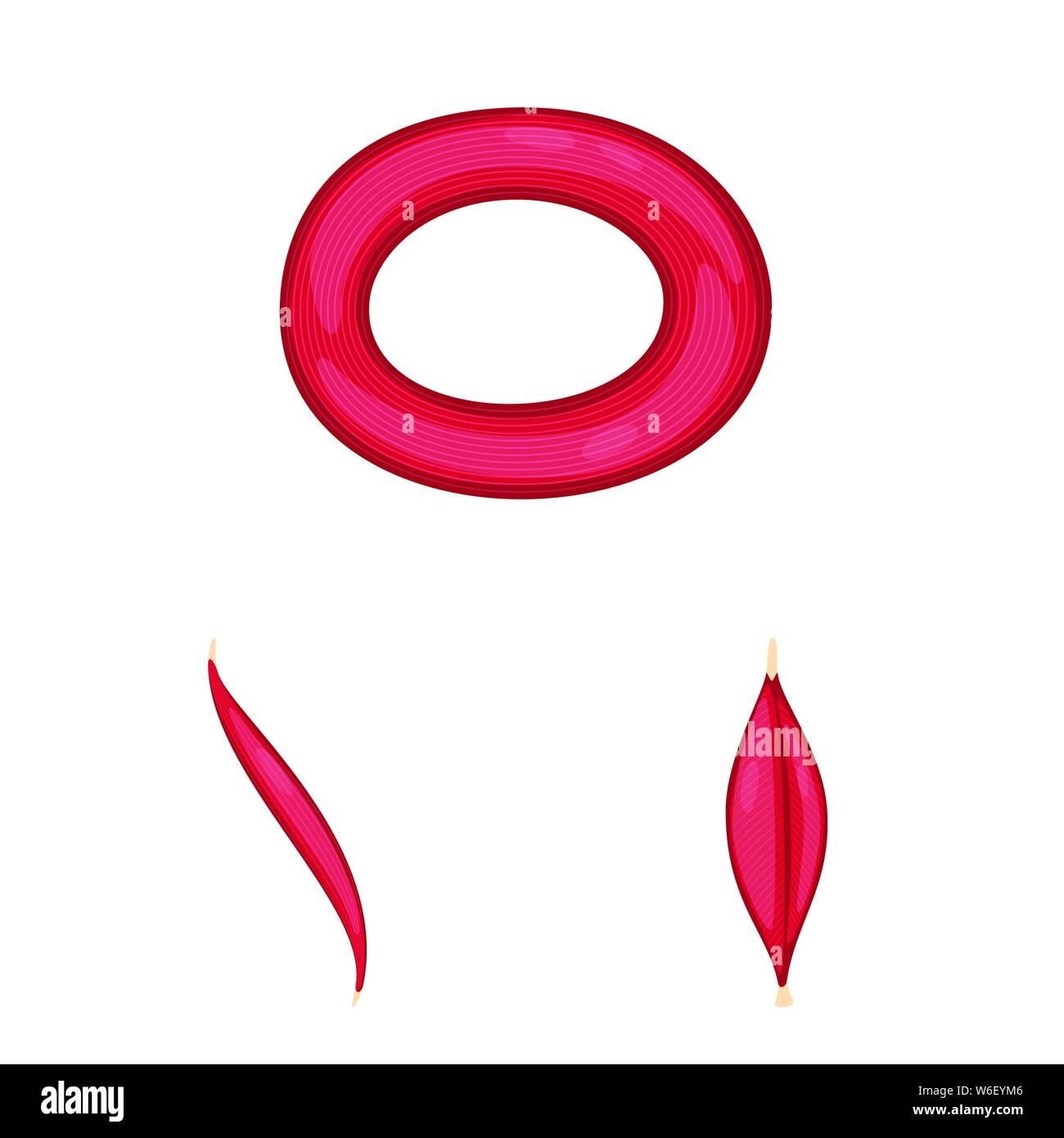 Vector design of muscle and cells symbol. Set of muscle and anatomy ...