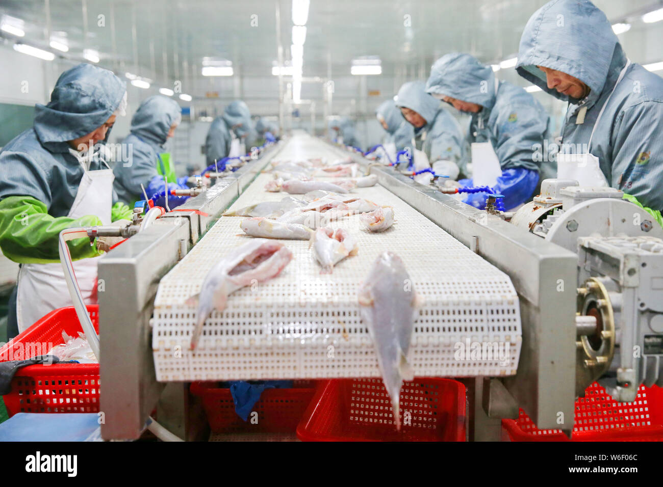 Fish breeding china hi-res stock photography and images - Alamy