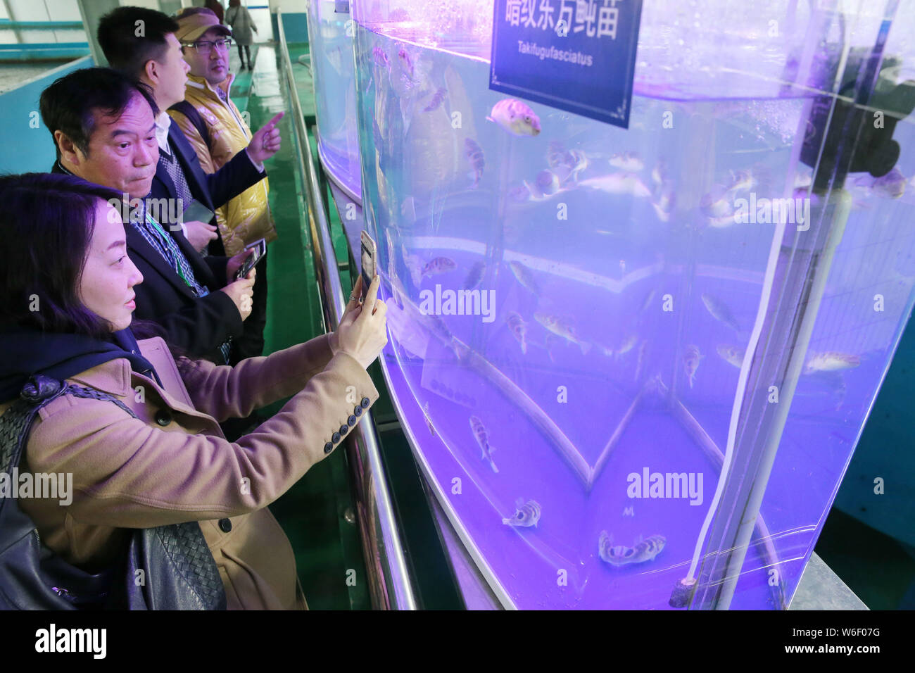 Fish exhibition hall hi-res stock photography and images - Alamy