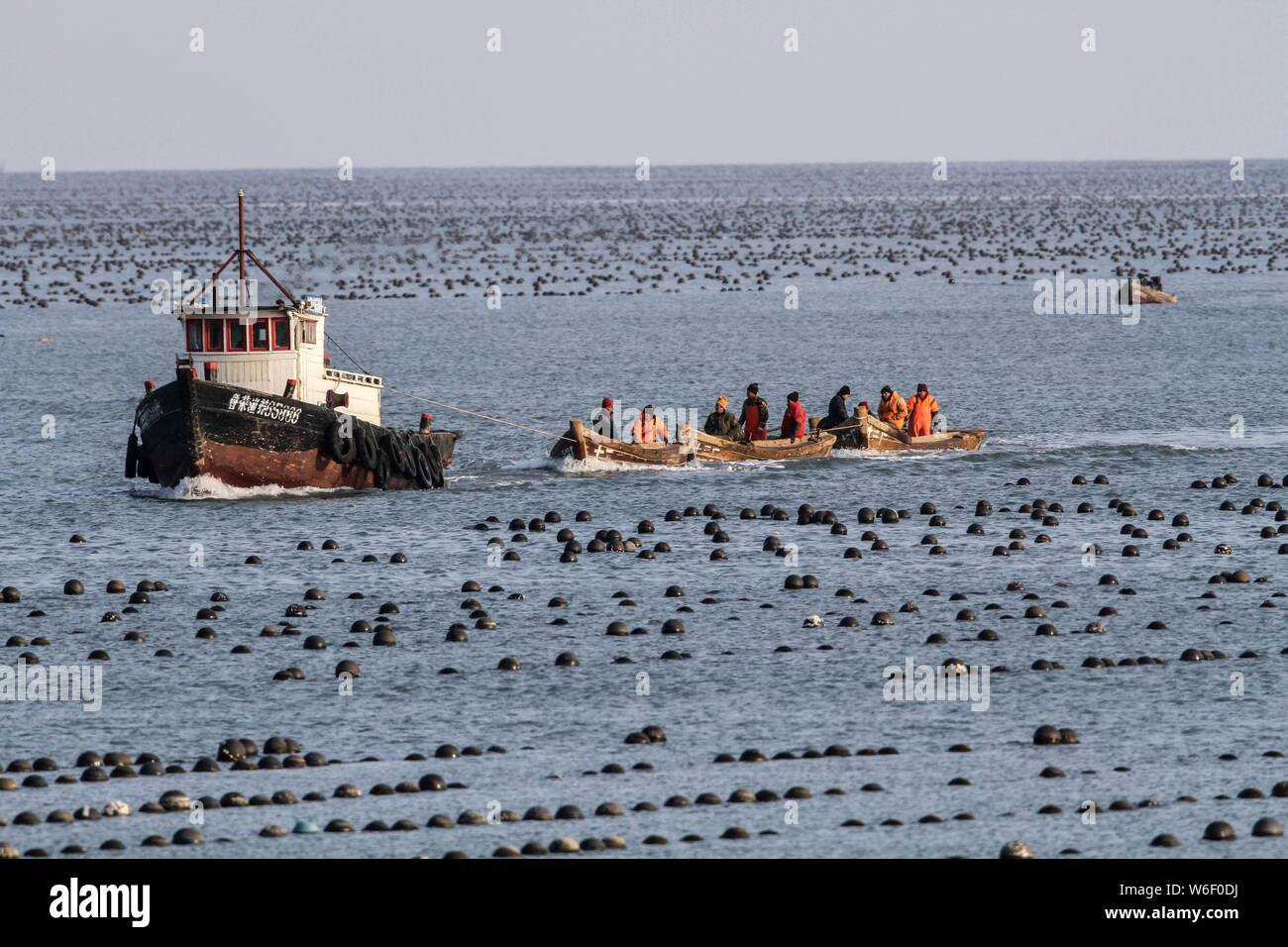 Ba Check In High Resolution Stock Photography and Images - Alamy