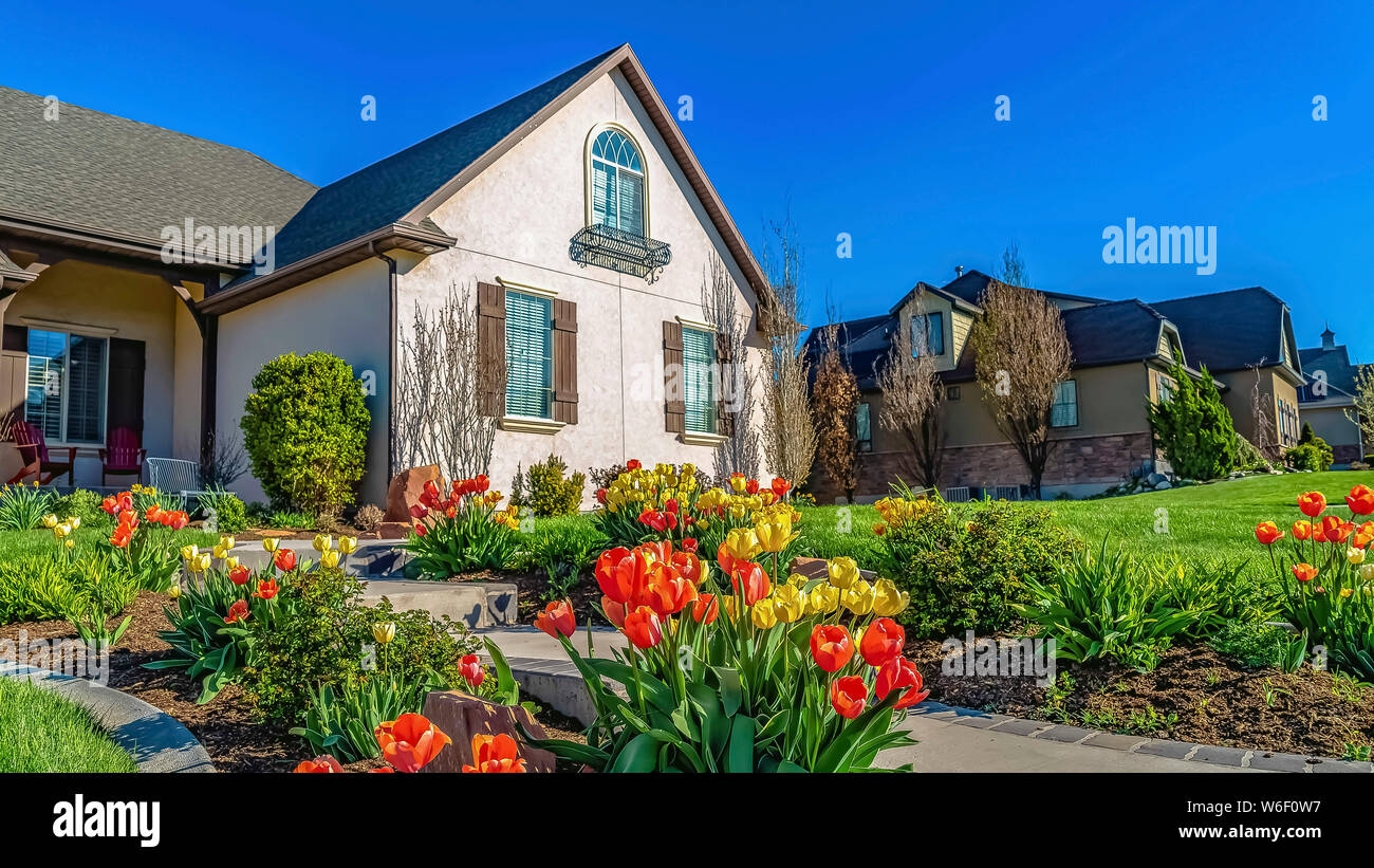 Panorama frame Yellow and orange tulips lining a pathway that leads to ...