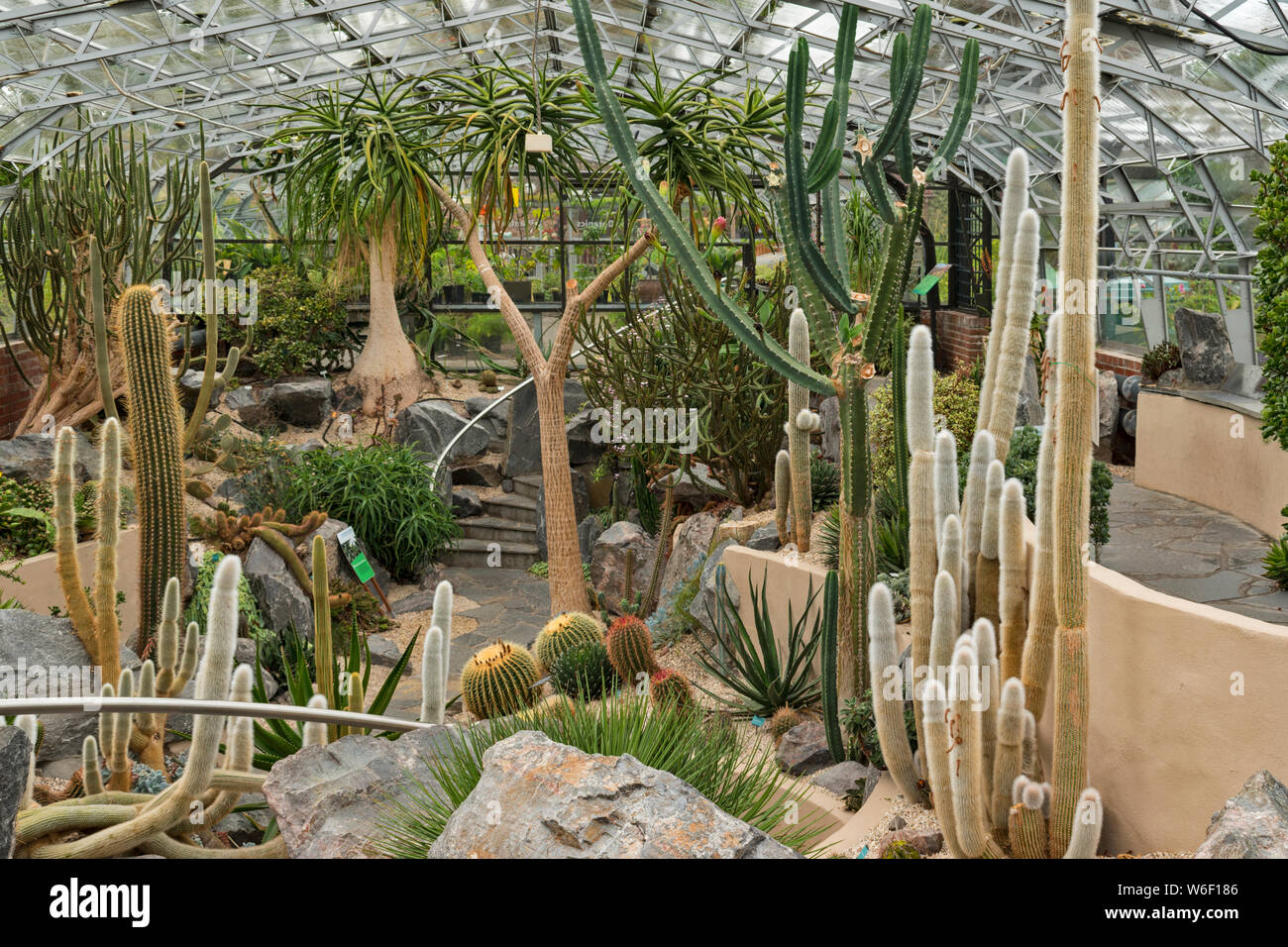 INVERNESS SCOTLAND THE BOTANIC GARDENS GLASS HOUSE OR GREENHOUSE ...