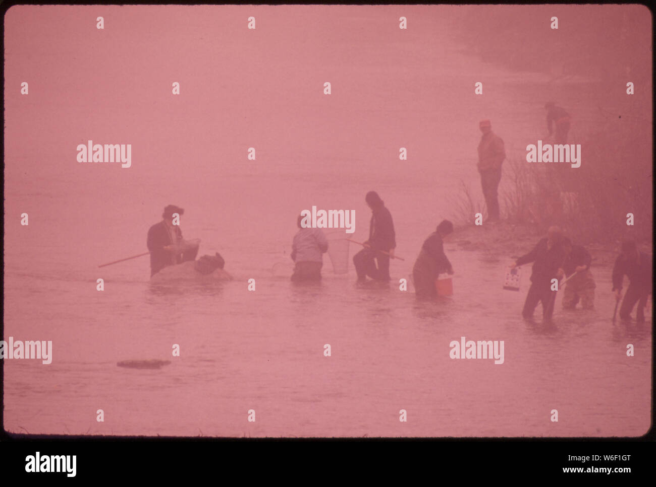Annual smelt run at singing bridge hi-res stock photography and images ...