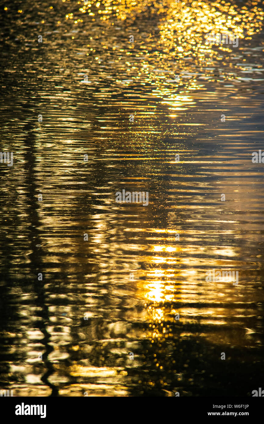 Sunlight On Pond