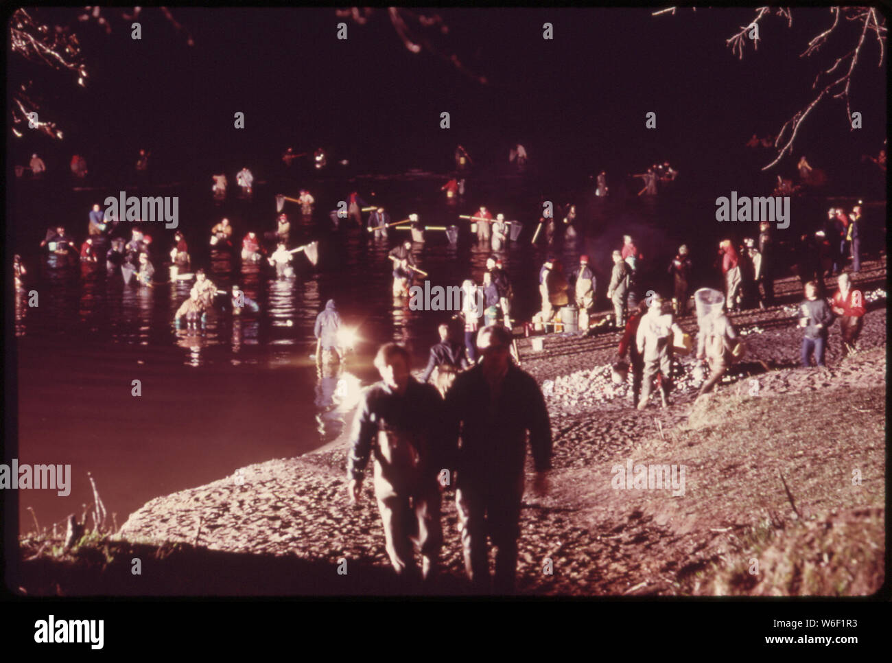 Annual smelt run at singing bridge hi-res stock photography and images ...