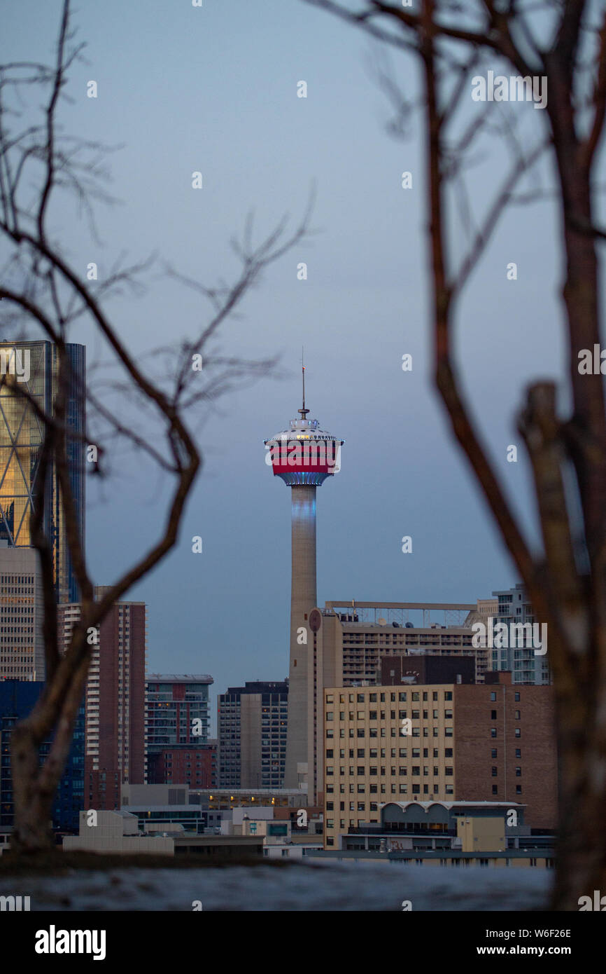 Calgary Tower through trees Stock Photo - Alamy