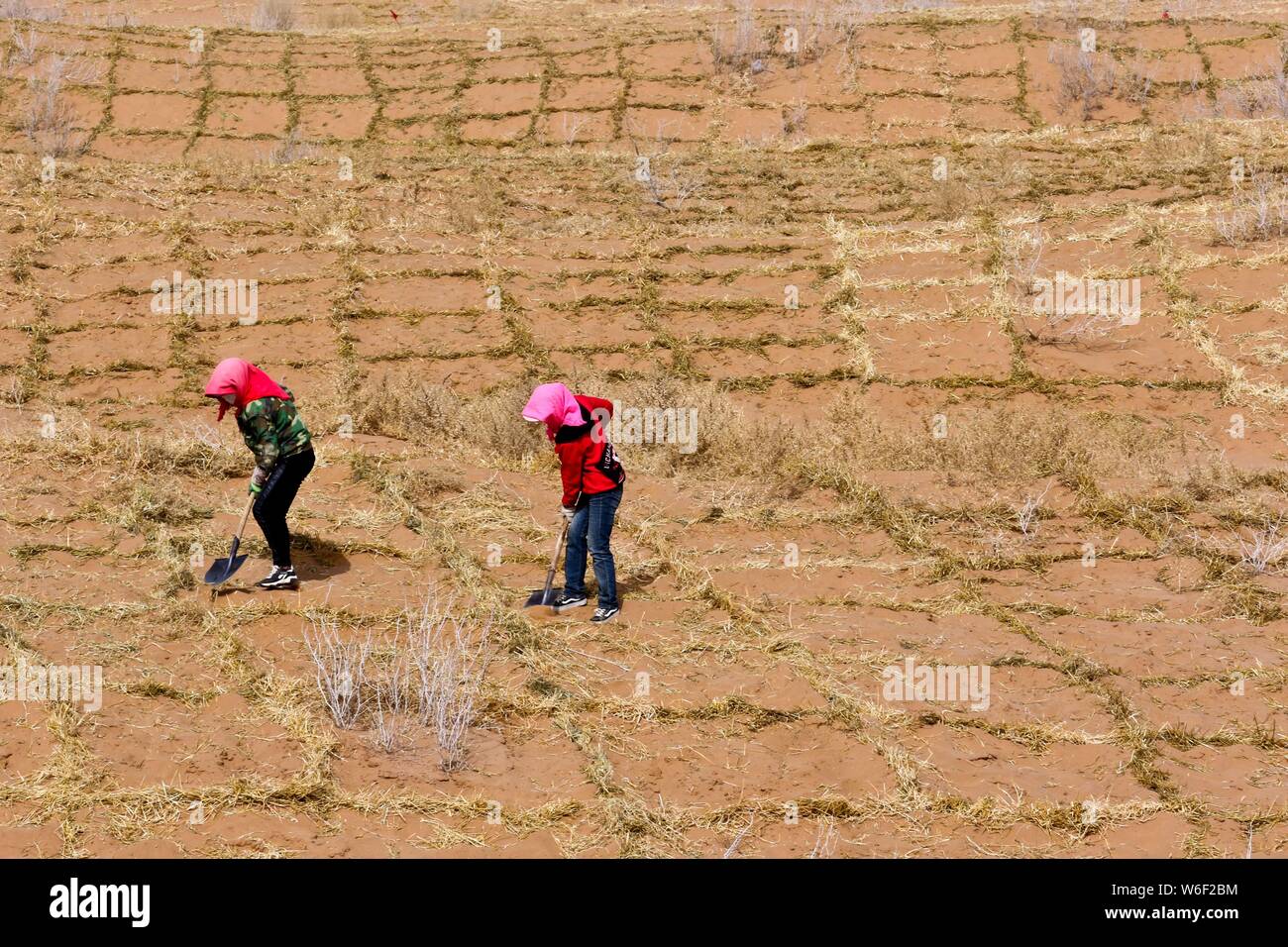 Anti desertification hi-res stock photography and images - Alamy