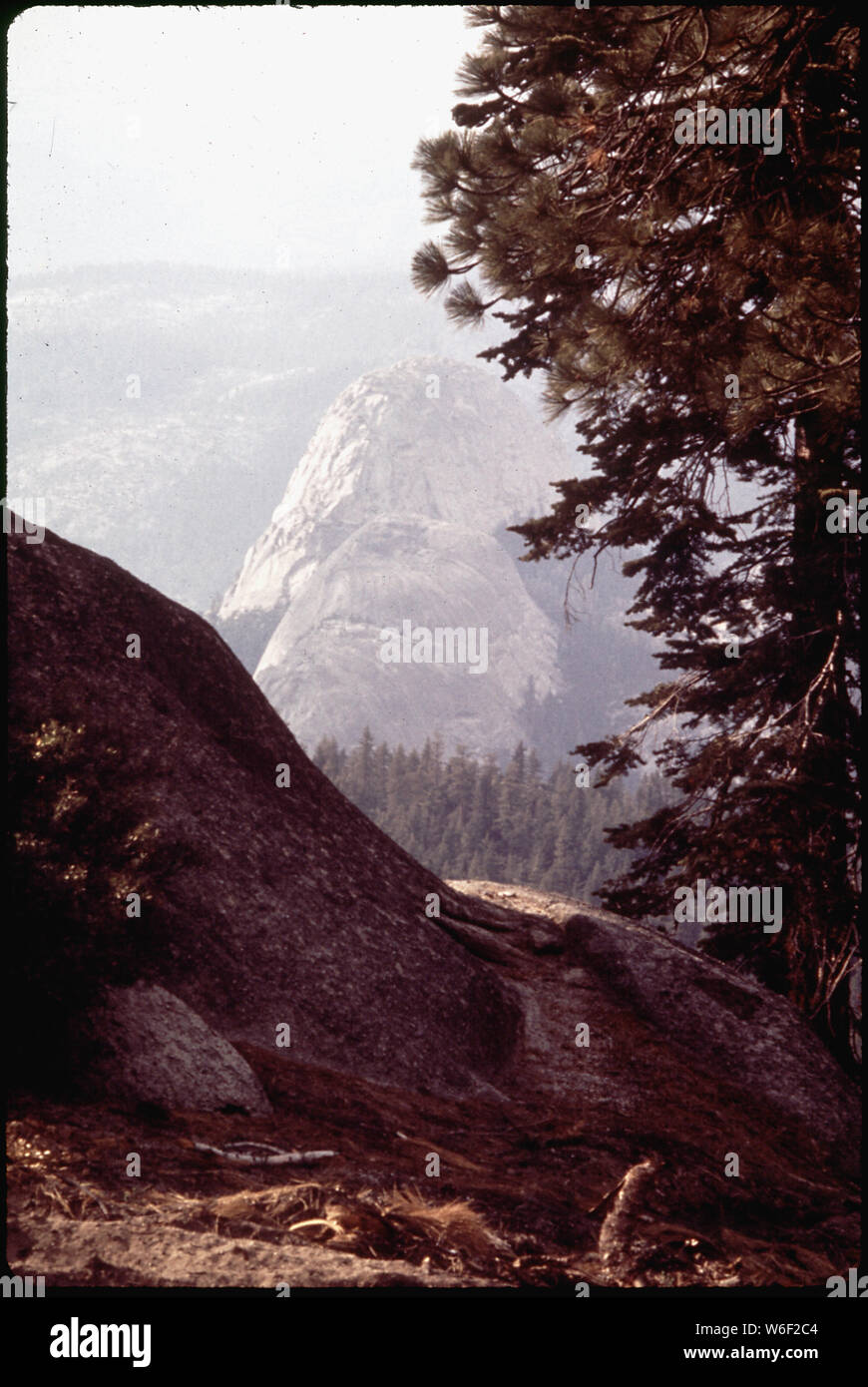 Area slash logging debris hi-res stock photography and images - Alamy