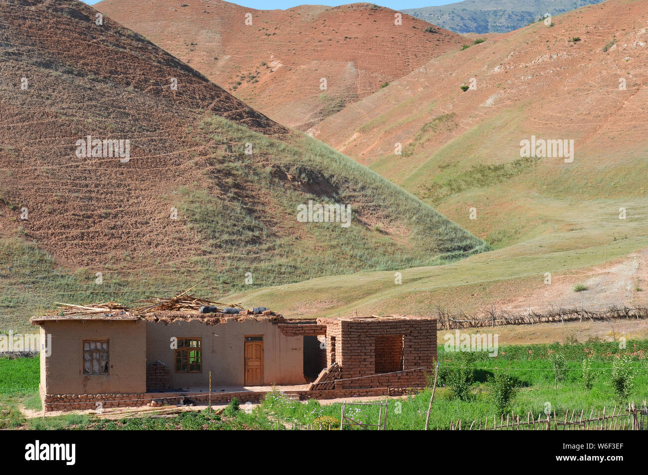 A field in the Hissar mountains, Pamir-Alay range, southeastern ...