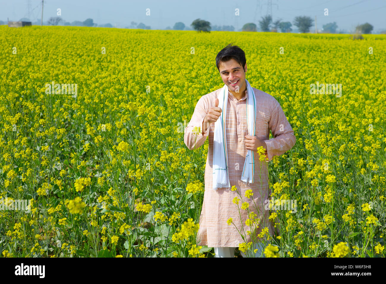 Farmer standing in a mustard crop field Stock Photo - Alamy