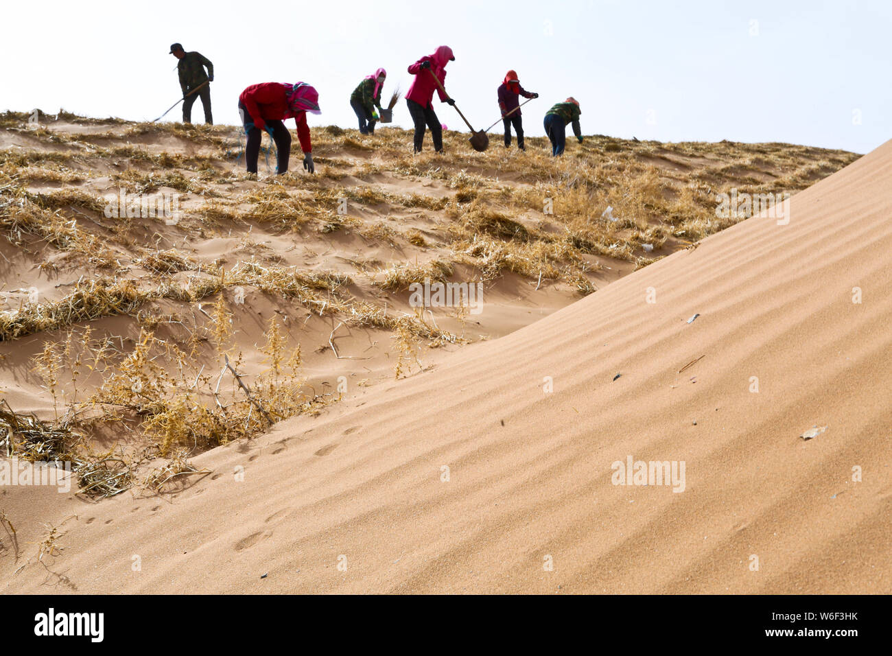 Anti desertification hi-res stock photography and images - Alamy