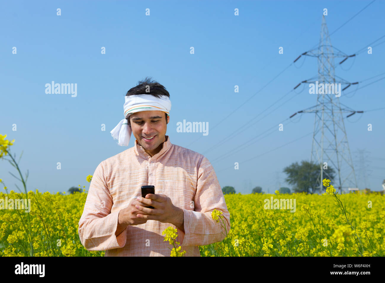 Farmer messaging on a mobile phone in a mustard crop field Stock Photo ...