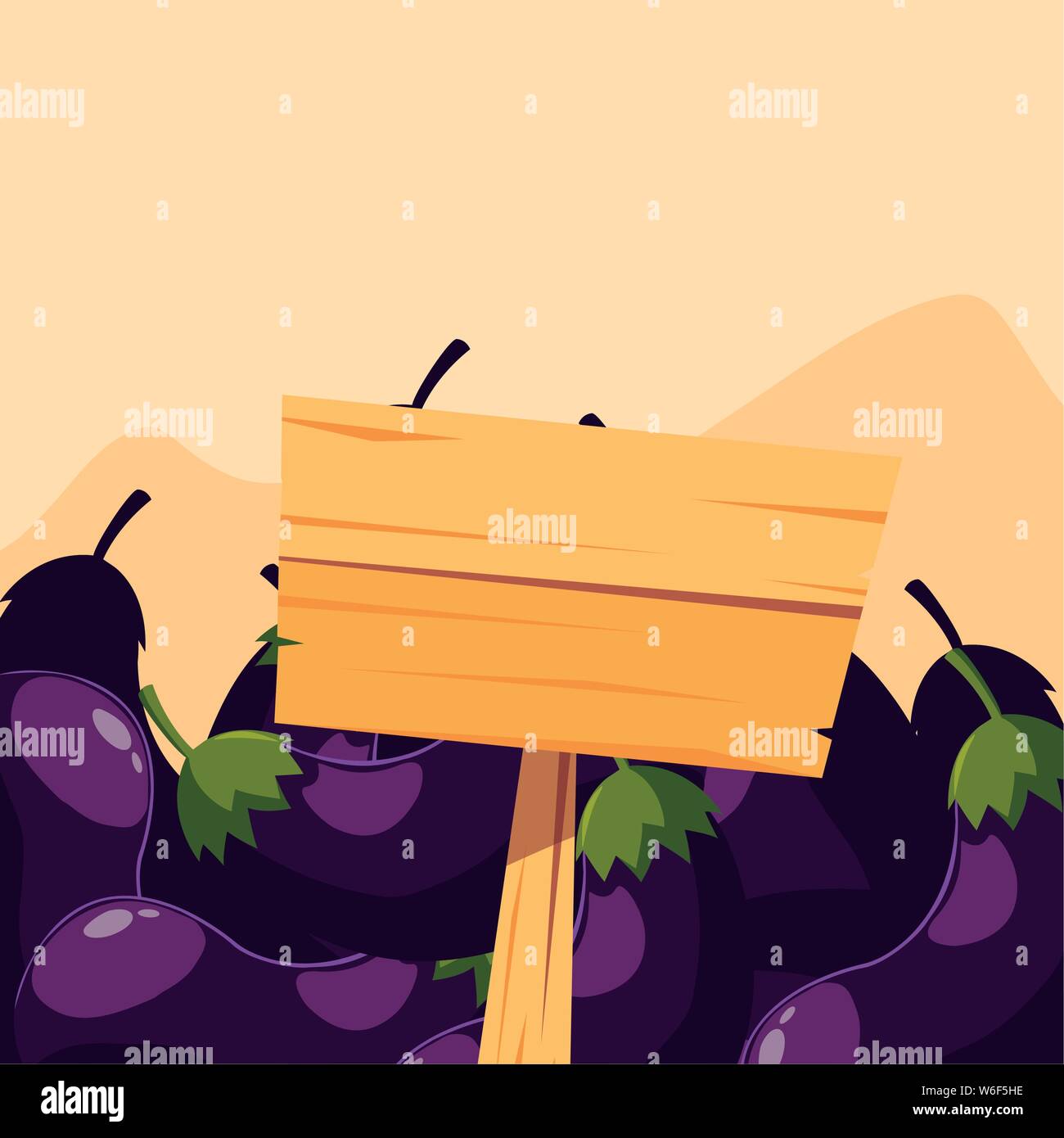 eggplant fresh vegetable farm wooden placard vector illustration Stock ...
