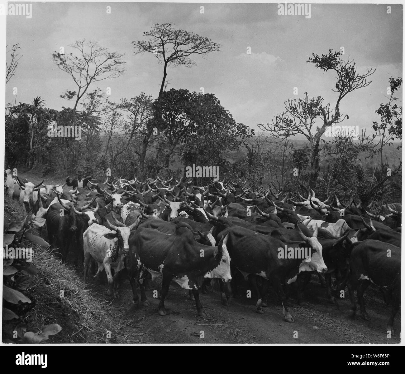 Facilitaties hi-res stock photography and images - Alamy