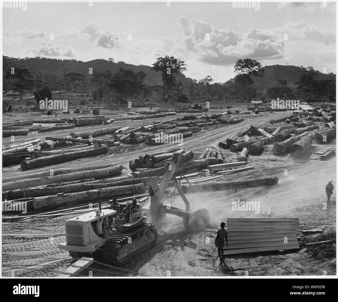 Africa. Cameroons. When the log arrives at the Eseka sawmill, a ...