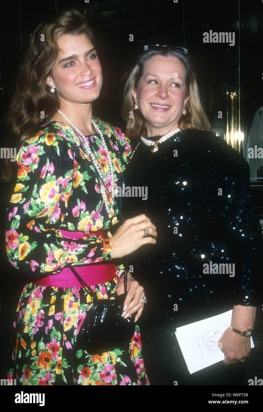 Teri shields brooke shields hi-res stock photography and images - Alamy