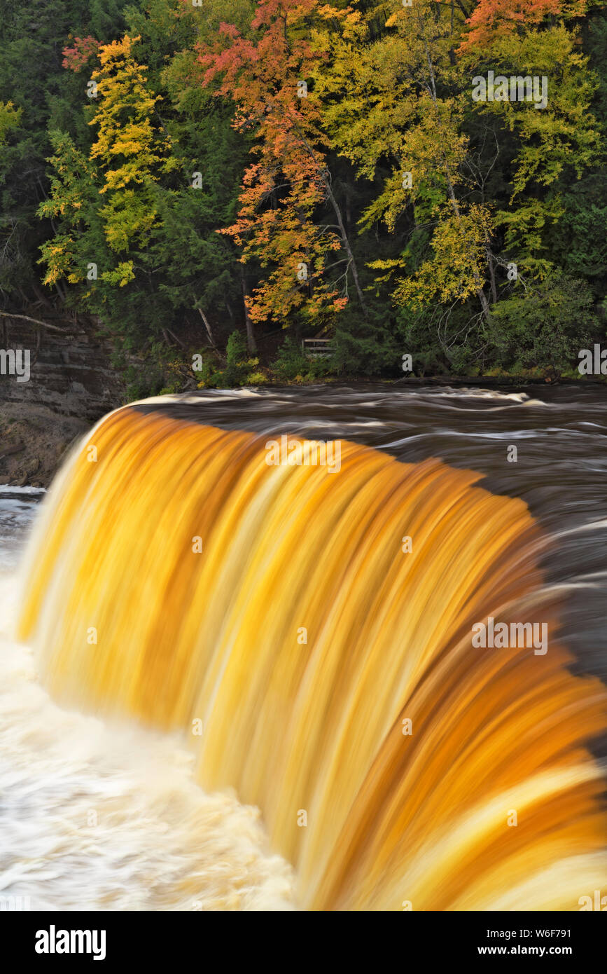 The Tahquemenon River with its amber colored water from naturally ...