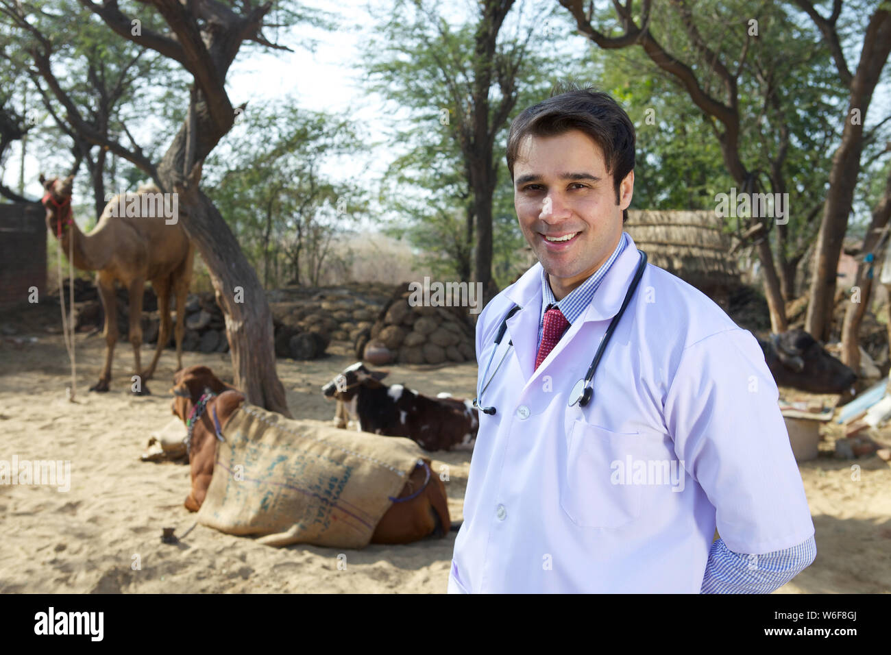 Indian vet hi-res stock photography and images - Alamy