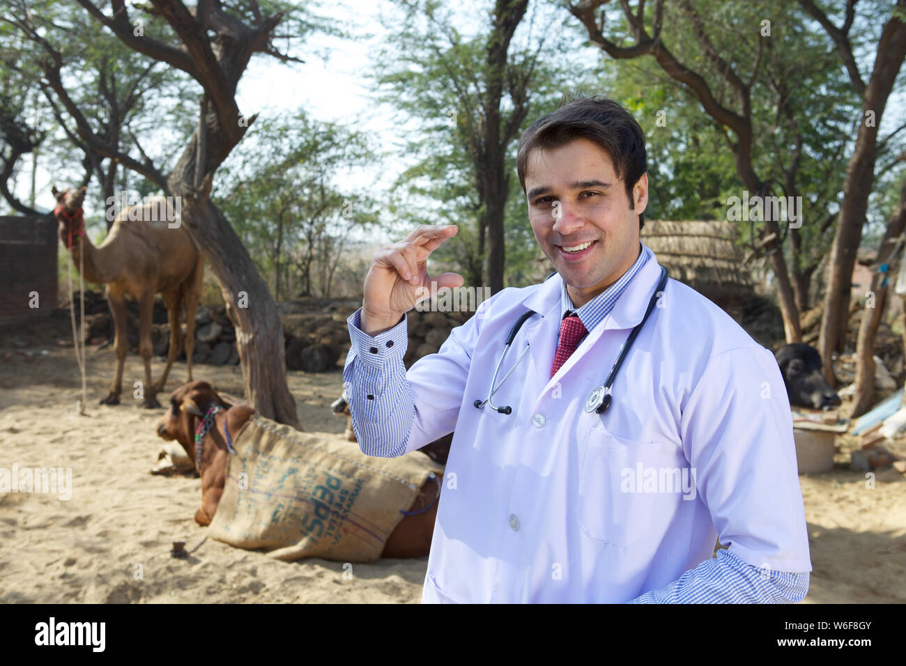 Male doctor indicating size with fingers Stock Photo - Alamy