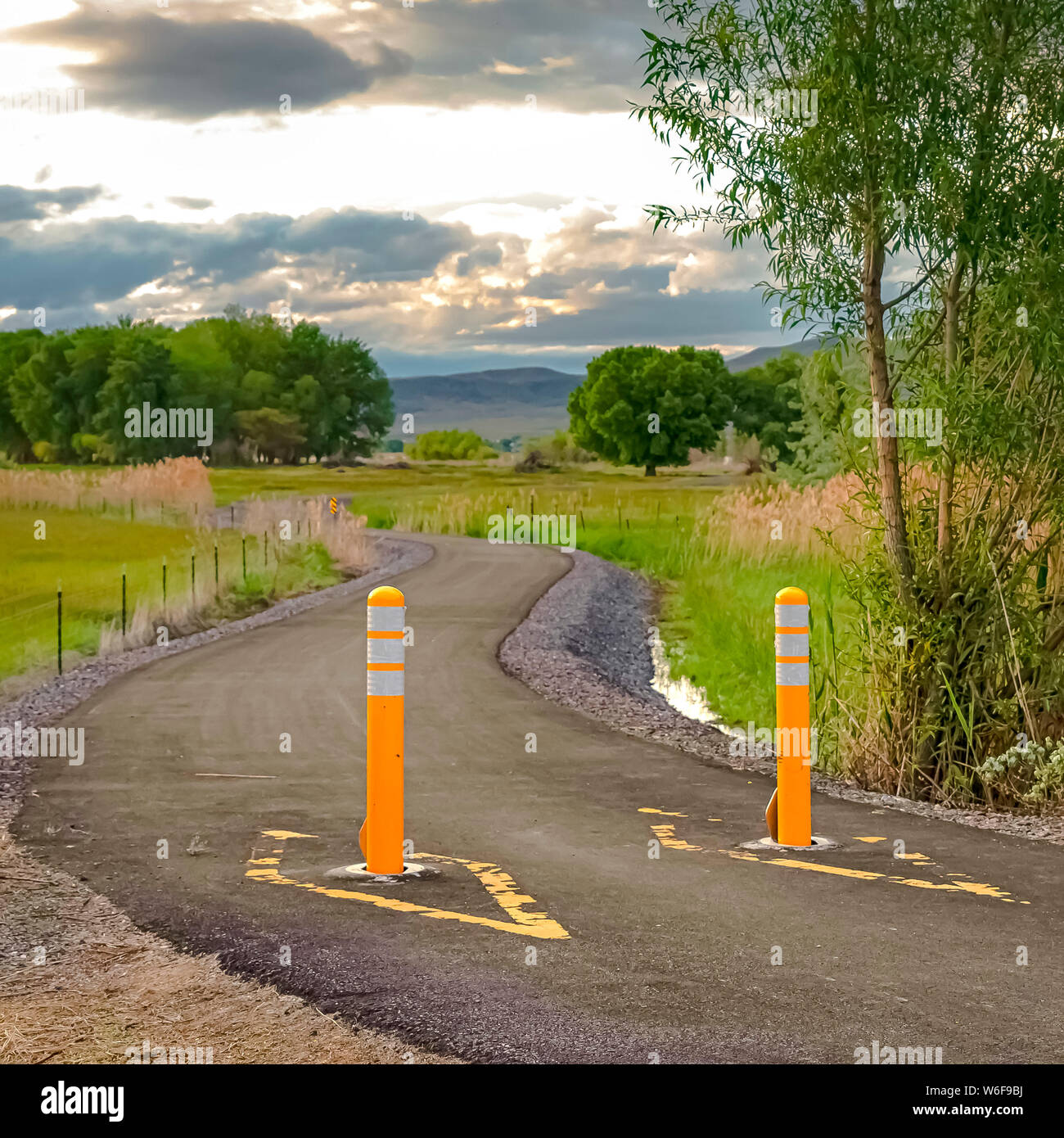 Square frame Yellow traffic delineator posts on a road with view of ...