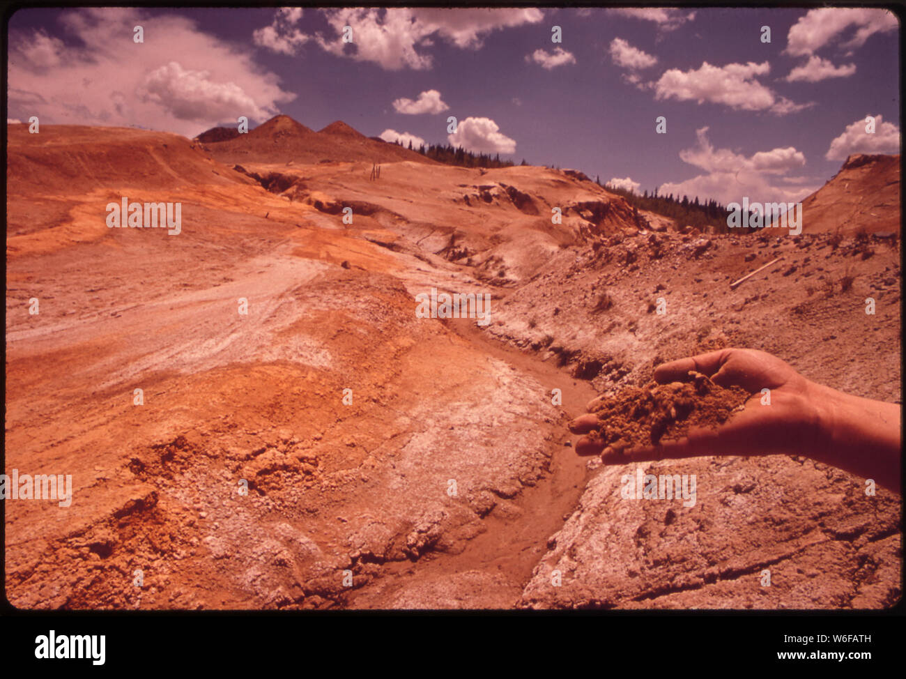 BARREN LAND REMAINED AFTER A GOLD MILL WAS ABANDONED IN THE 1930's. THE ...