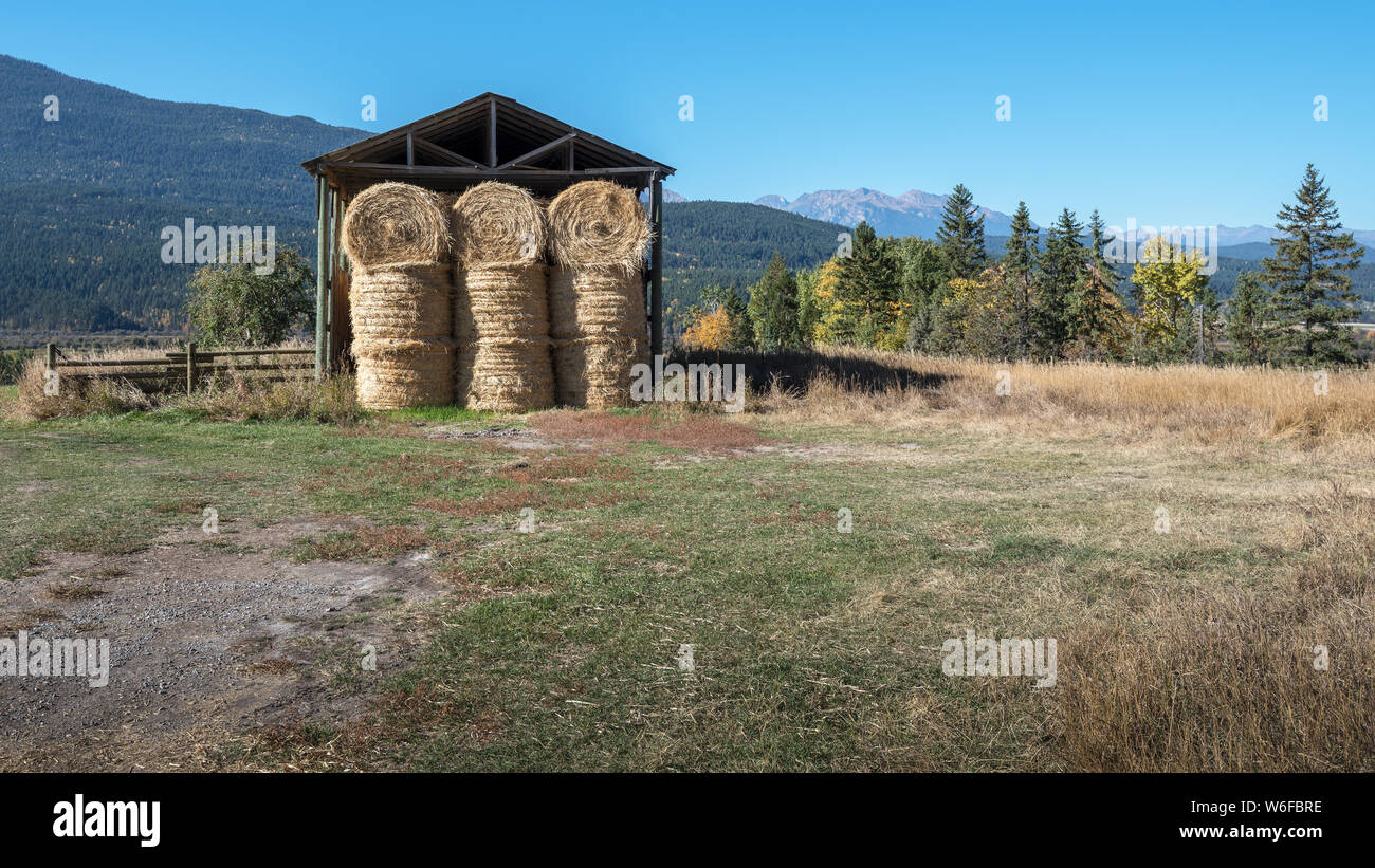 Hay Storage in the Columbia River Valley near Parson, British Columbia ...