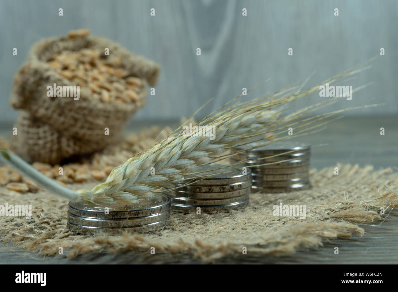 Single piece of wheat laying across stack of silver coins, hessian sack ...