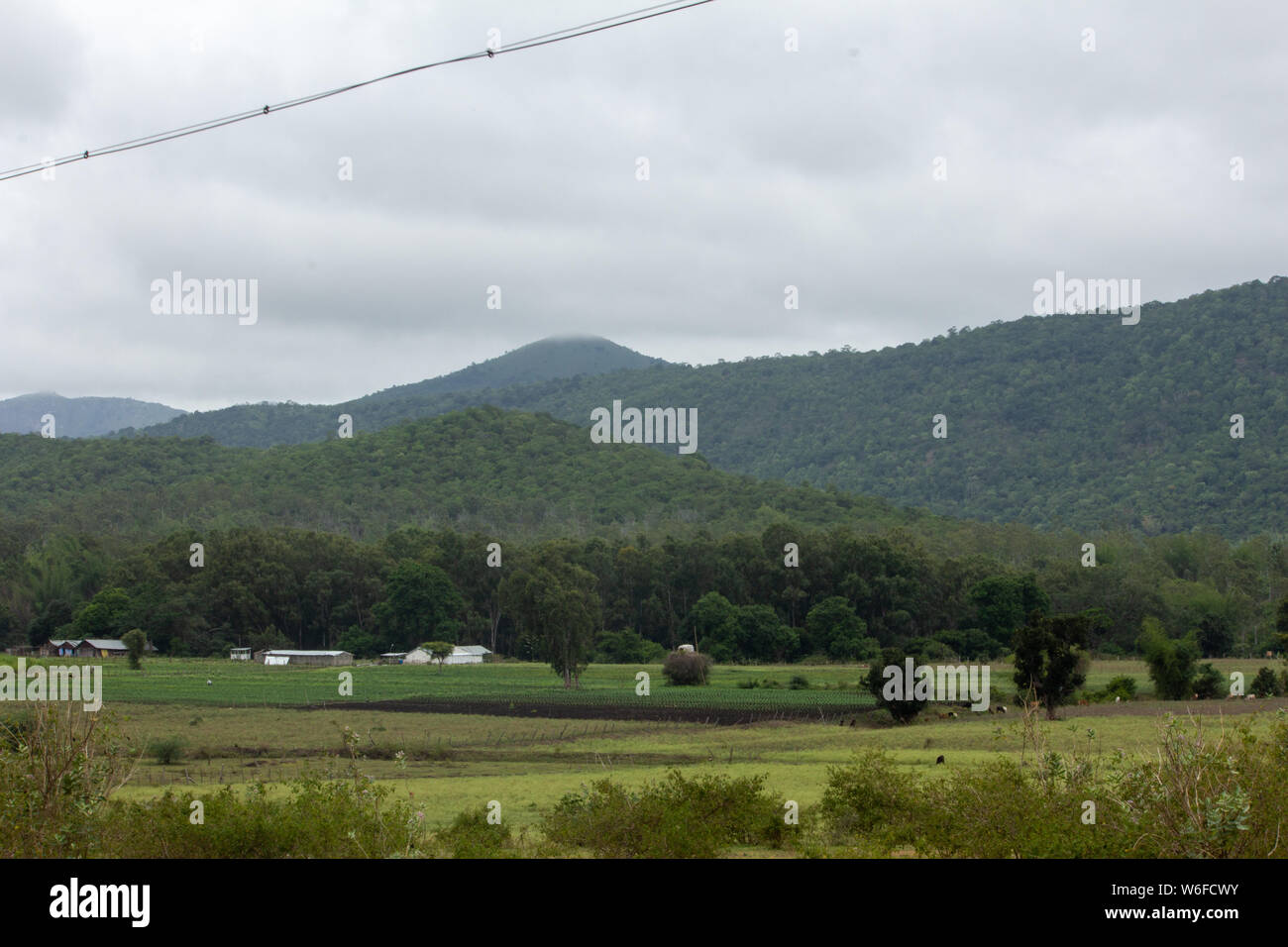 Farmland and meadows in Hasanur, Tamil Nadu, India Stock Photo - Alamy