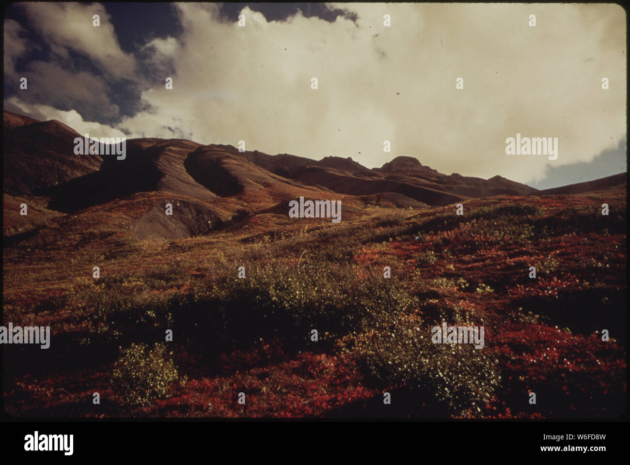 BRILLIANT AUTUMN COLORS ON THE SOUTH SIDE OF THE ATIGUN RIVER FIVE ...