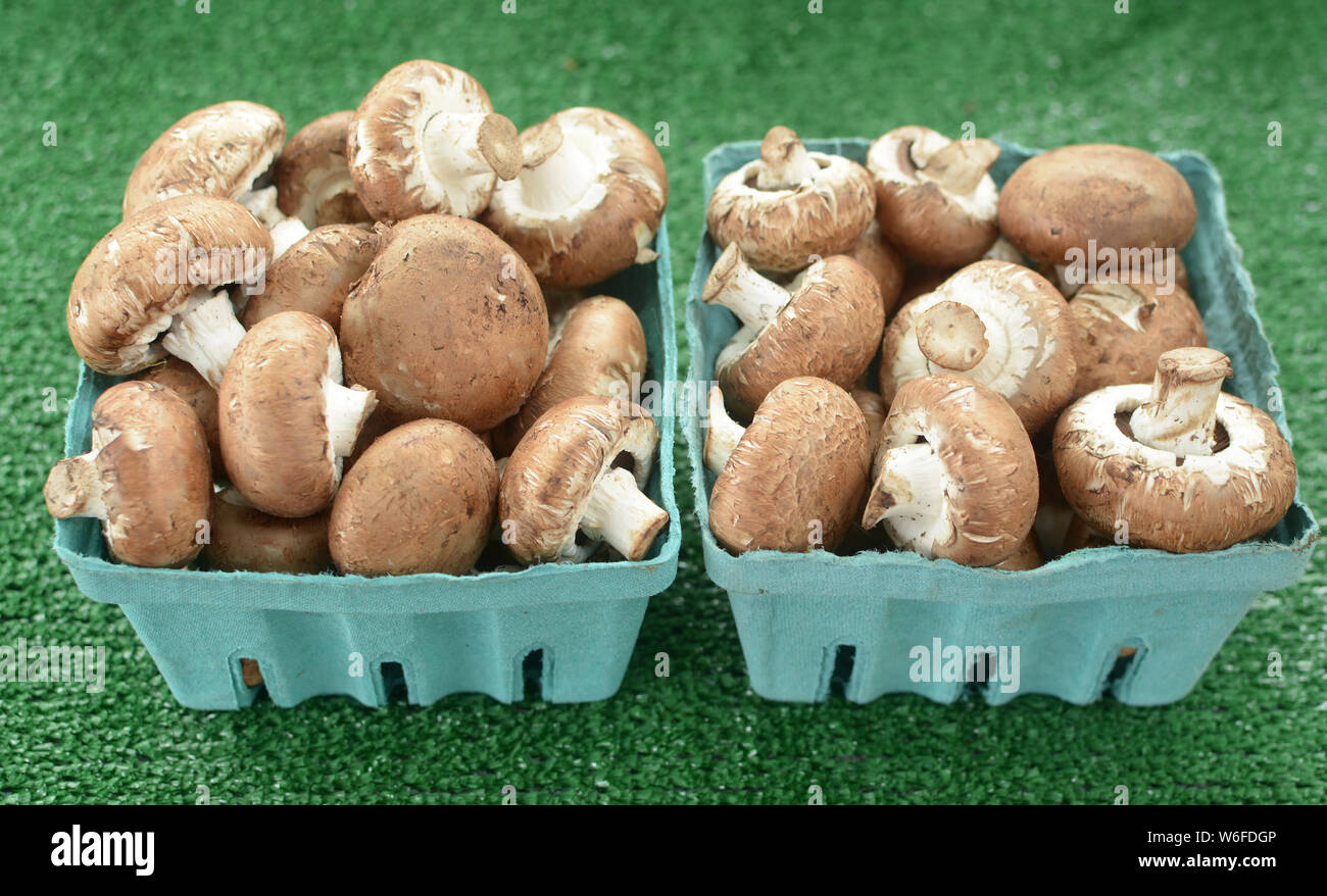 mini portabella mushroom in bucket in table Stock Photo - Alamy