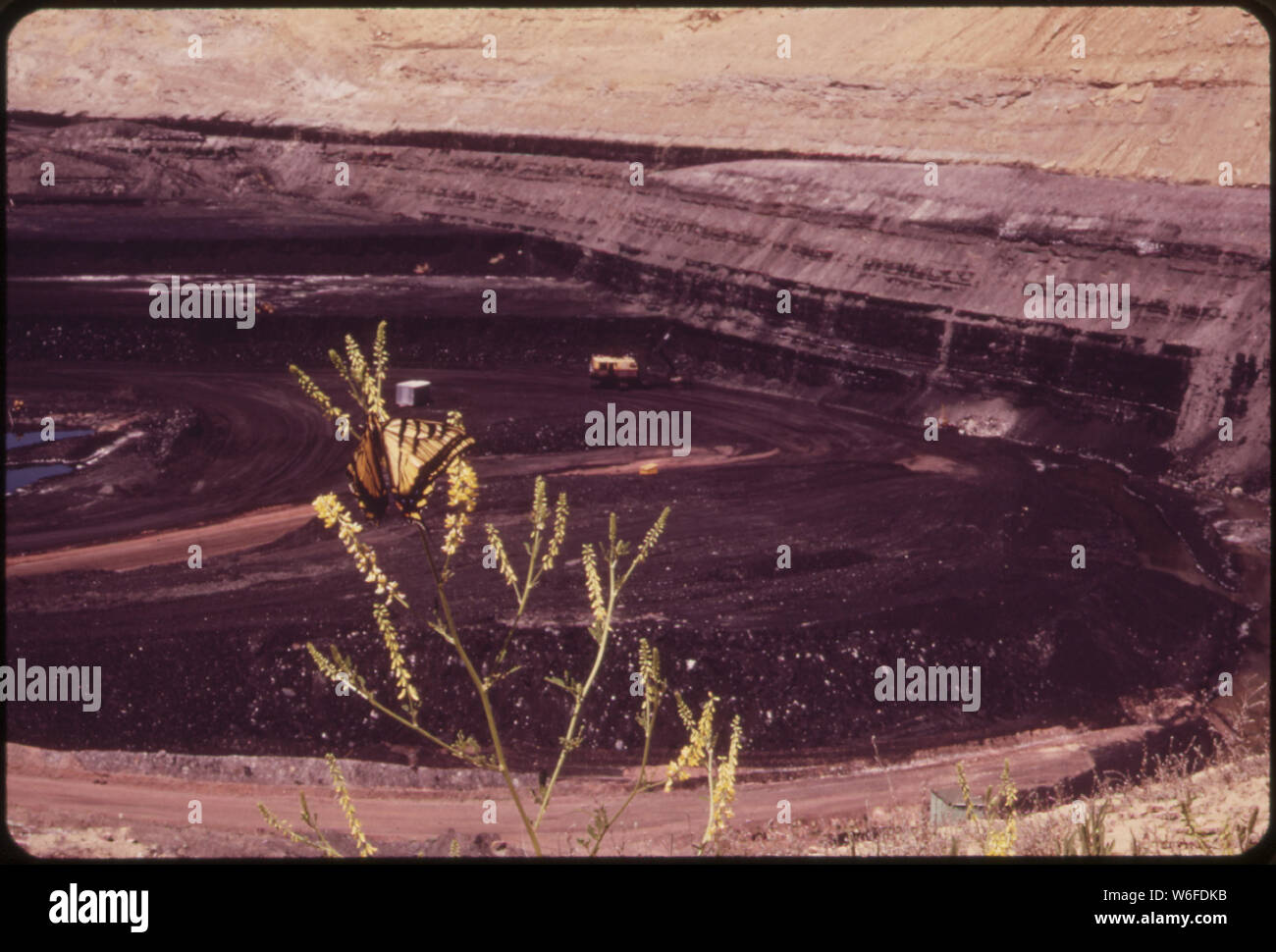 Butterfly and strip mine hi-res stock photography and images - Alamy