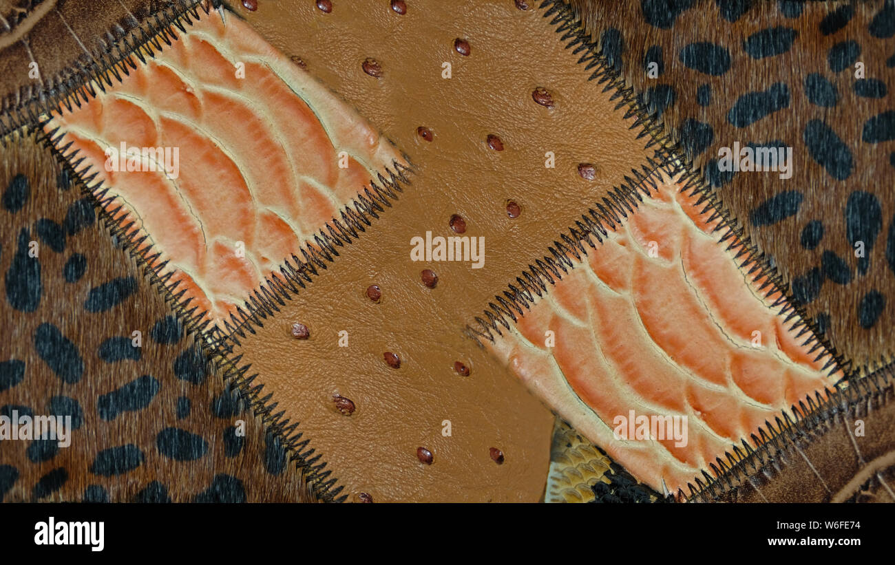 Animals texture for background Stock Photo - Alamy