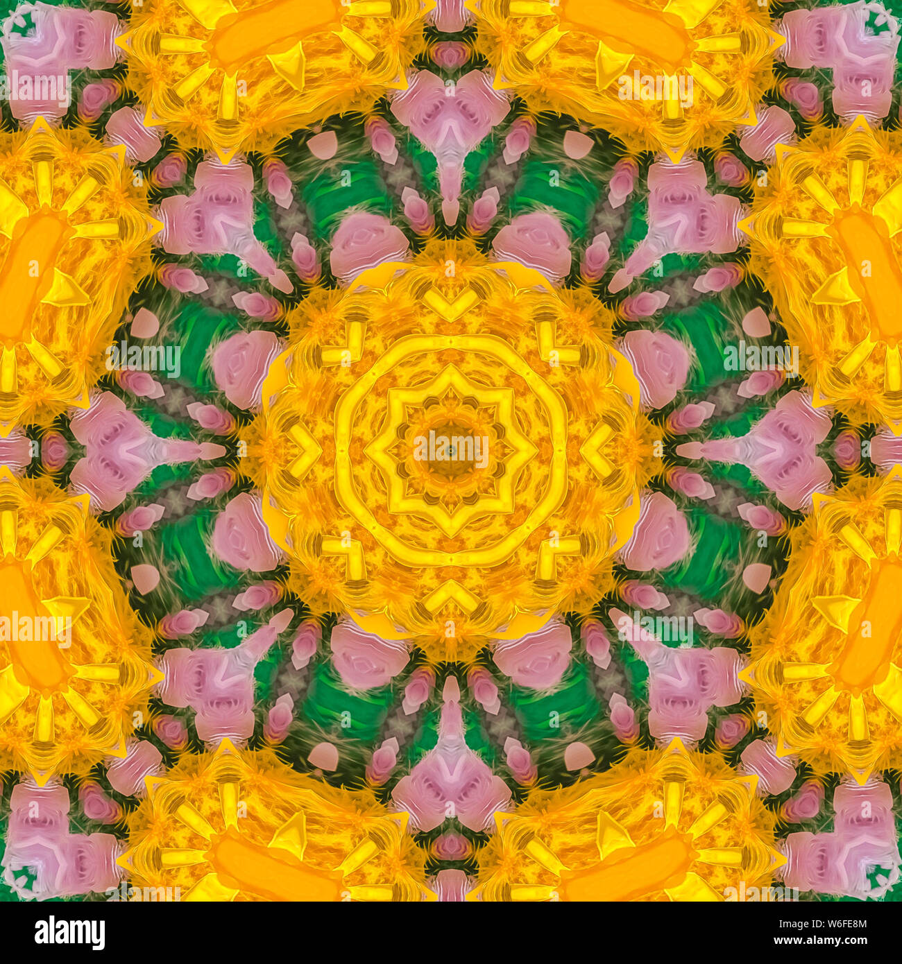 Square frame Feathers are colorful and look like a flower Stock Photo ...