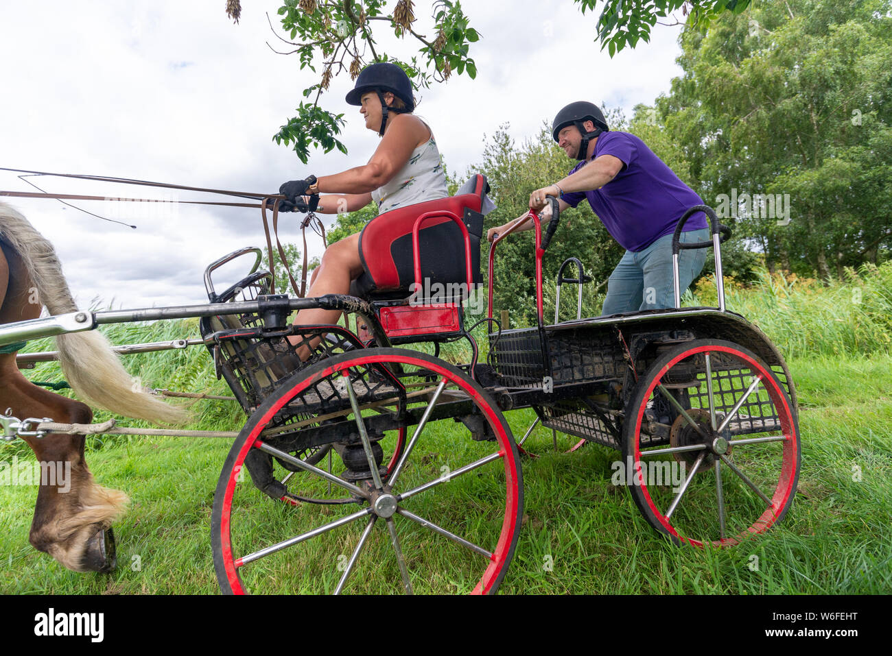 Heavy horse with drivers on a cart competing in an obstacle course ...