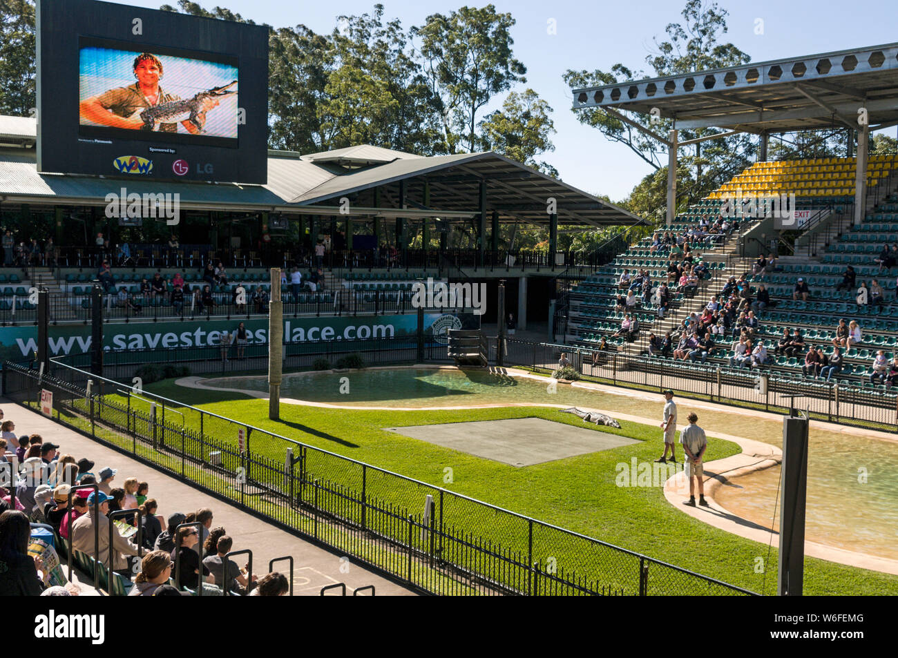 A zoo keeper feeding fish to a Saltwater crocodile in front of a large ...