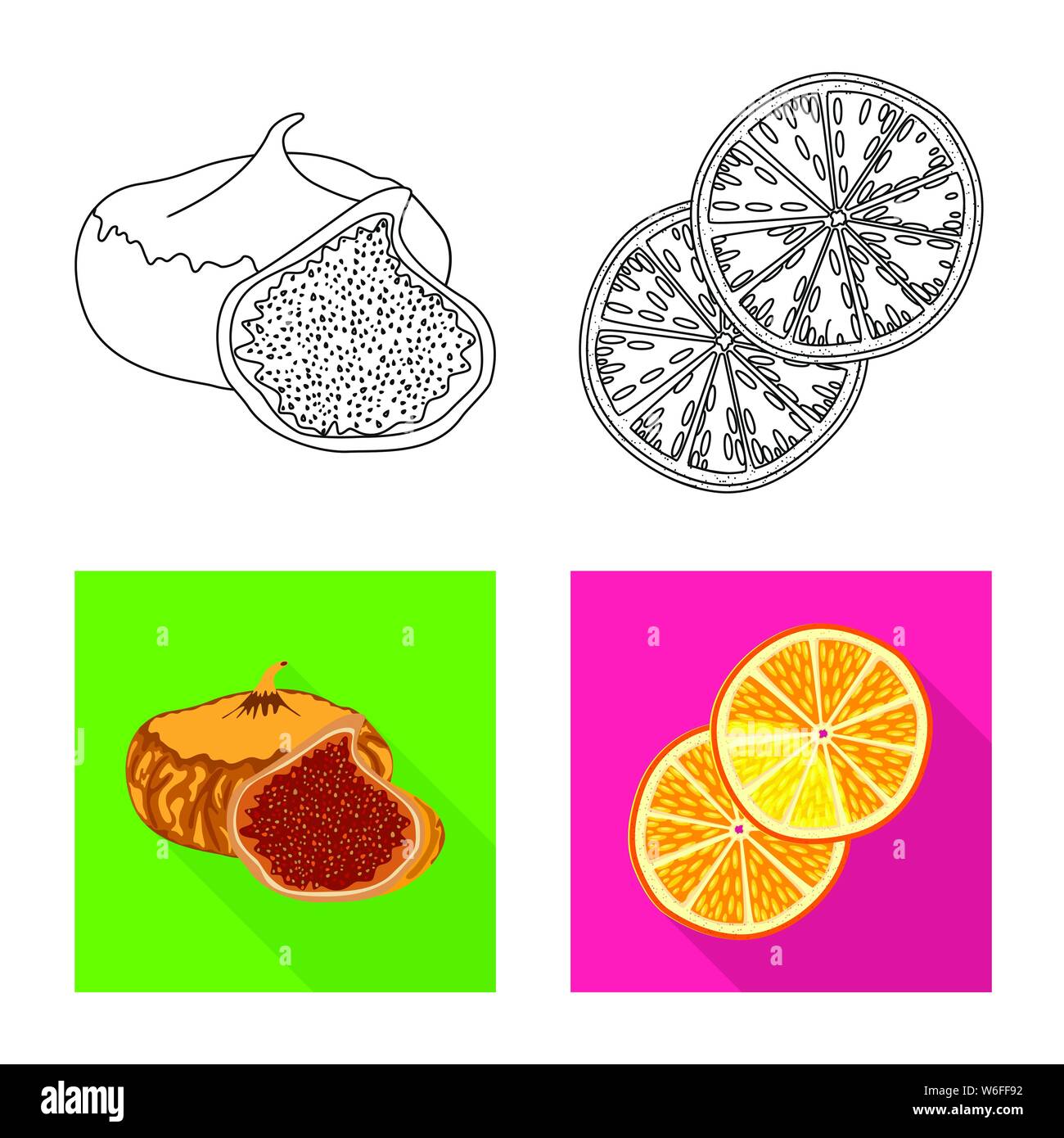 Vector design of food and raw icon. Set of food and nature vector icon ...