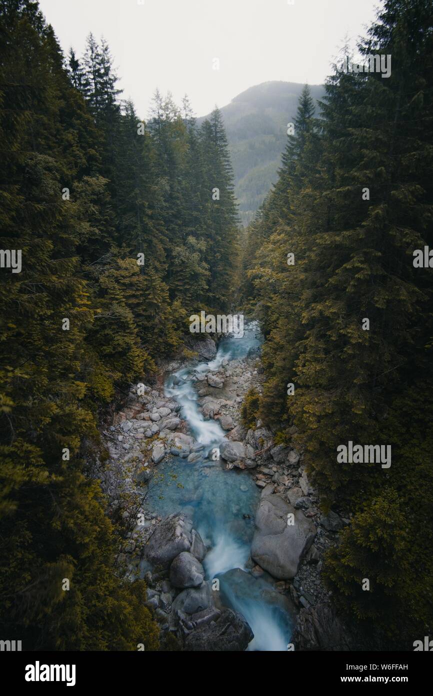 Beautiful vertical shot of a river flowing in between trees and stones ...