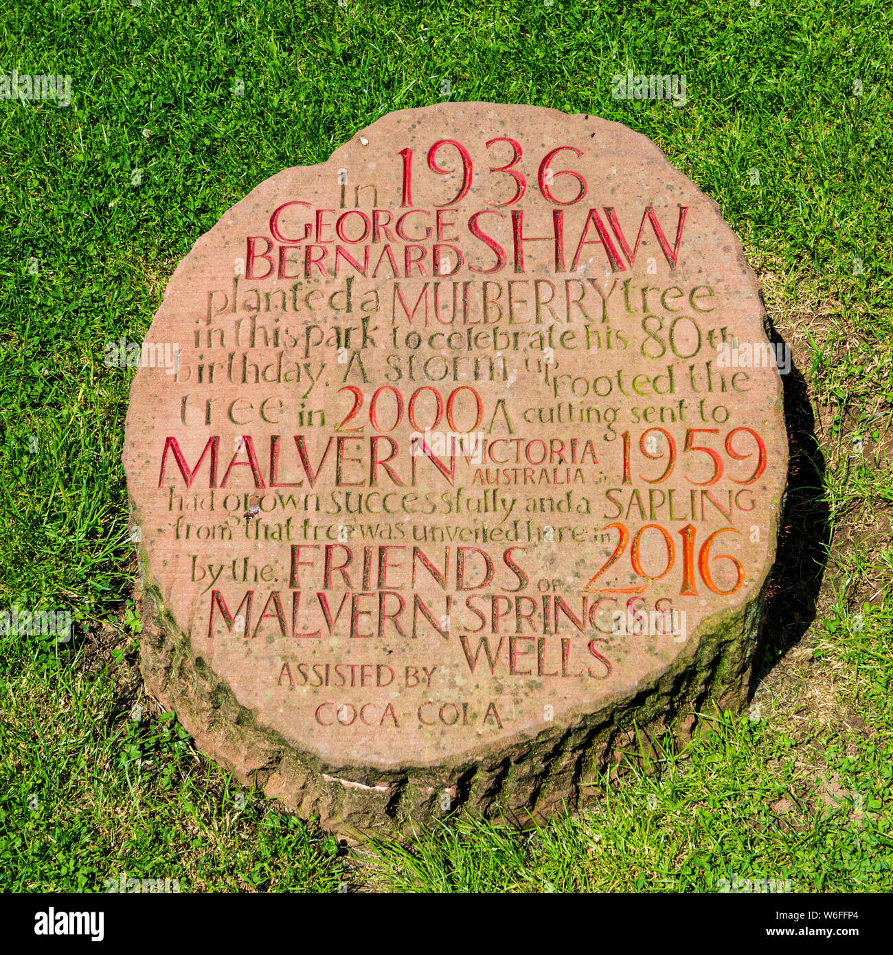 The George Bernard Shaw Mulberry Tree in the Malvern Winter gardens ...