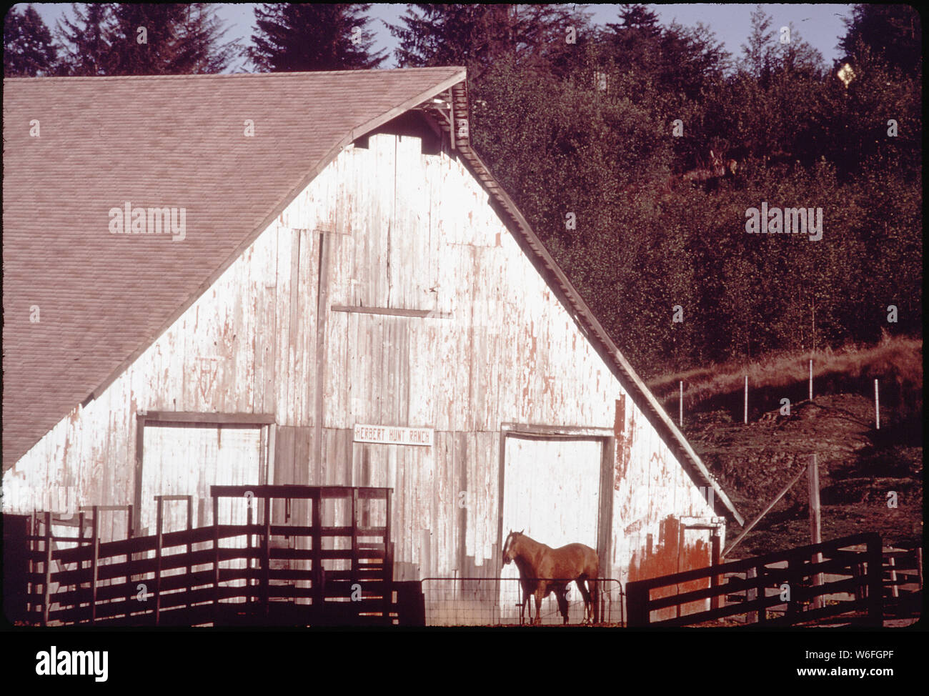 Herbert hunt ranch hi-res stock photography and images - Alamy