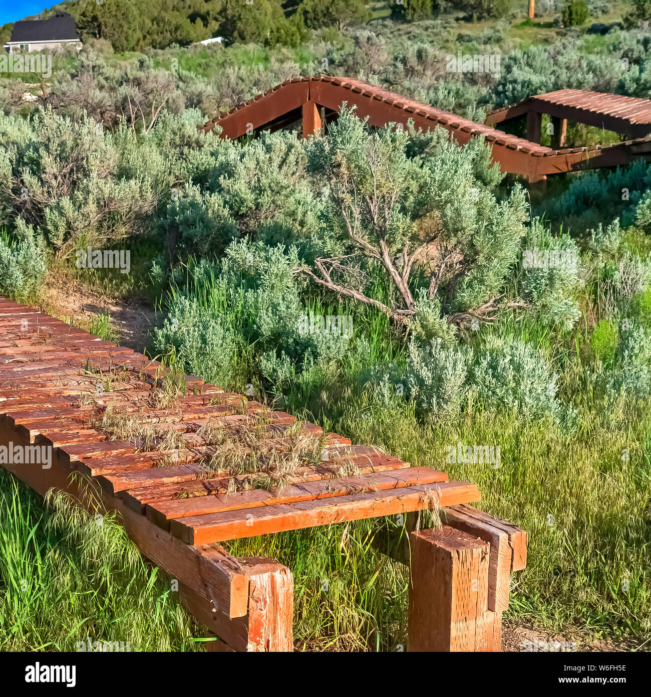 Square Close up of elevated wooden bike tracks amid grasses and shrubs ...