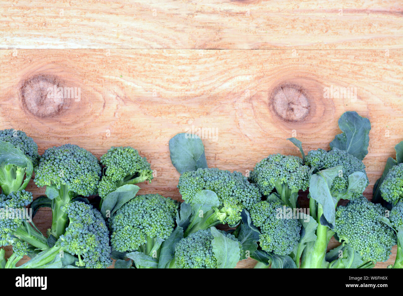 green organic broccoli formed for frame (focus on broccoli Stock Photo ...