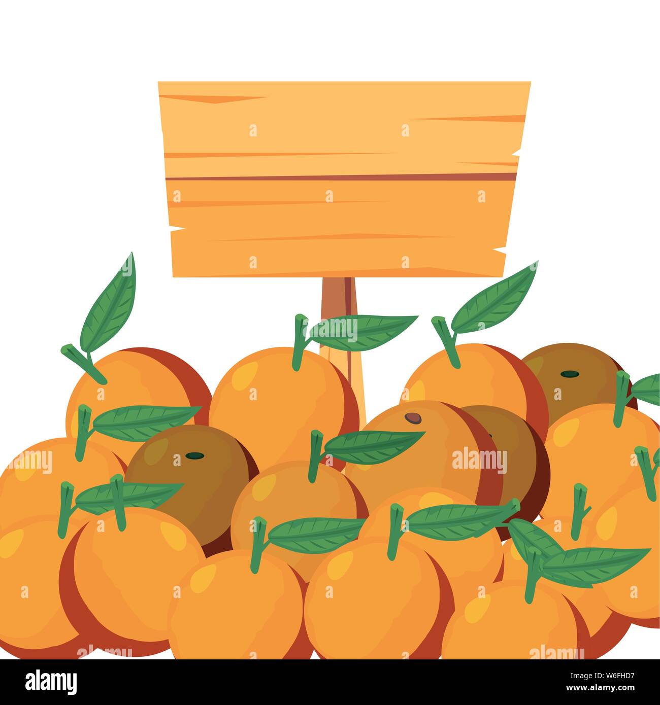 orange fresh vegetable farm wooden placard vector illustration Stock ...