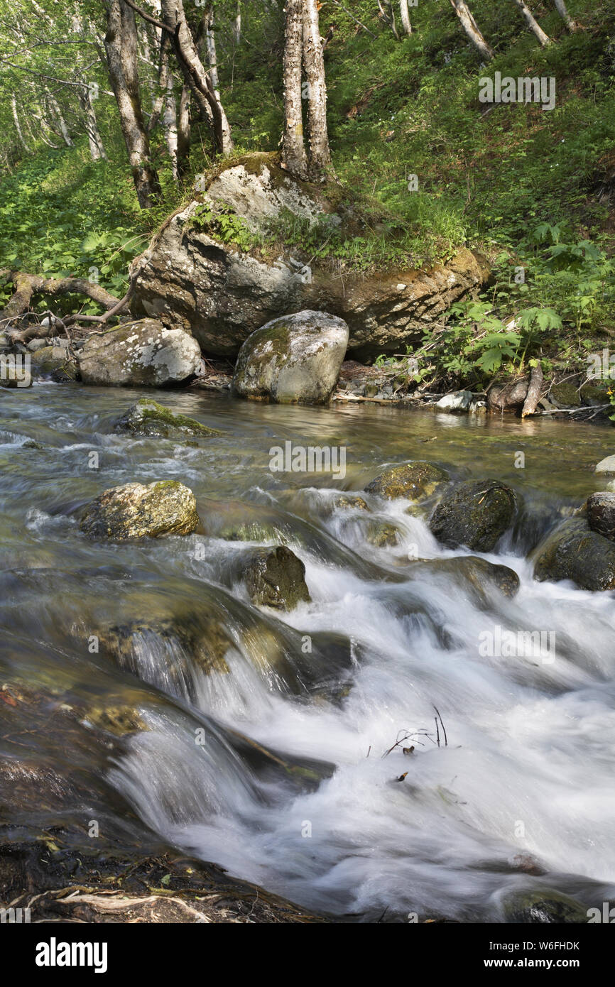 Sakhalin river landscape hi-res stock photography and images - Alamy