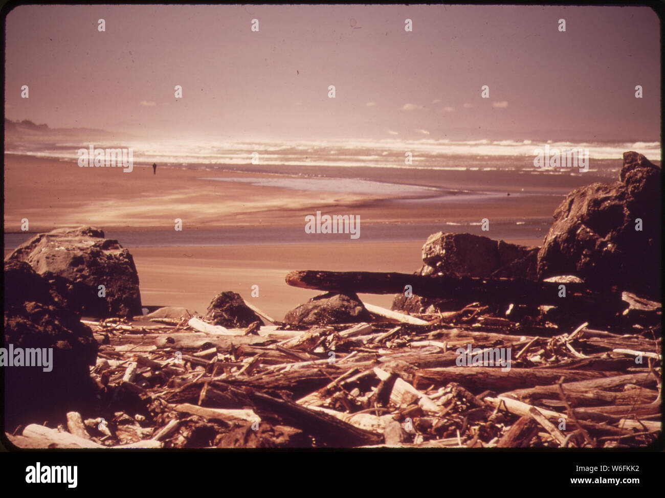 CAST-OFF TIMBER PILES UP ON BEACH Stock Photo - Alamy