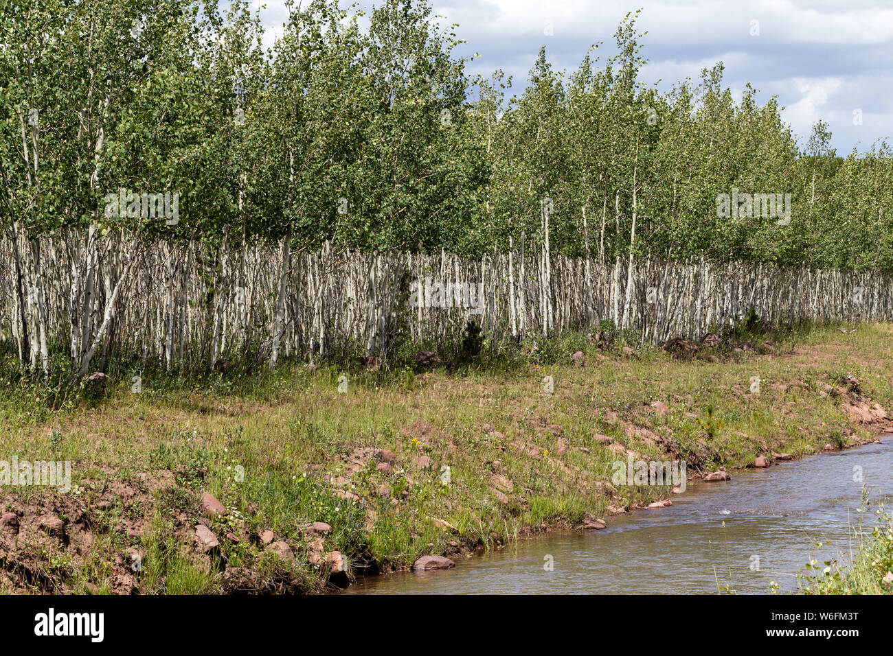 Browse hi-res stock photography and images - Alamy