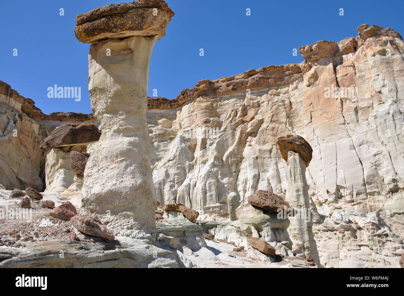 Limestone hoodoos hi-res stock photography and images - Alamy